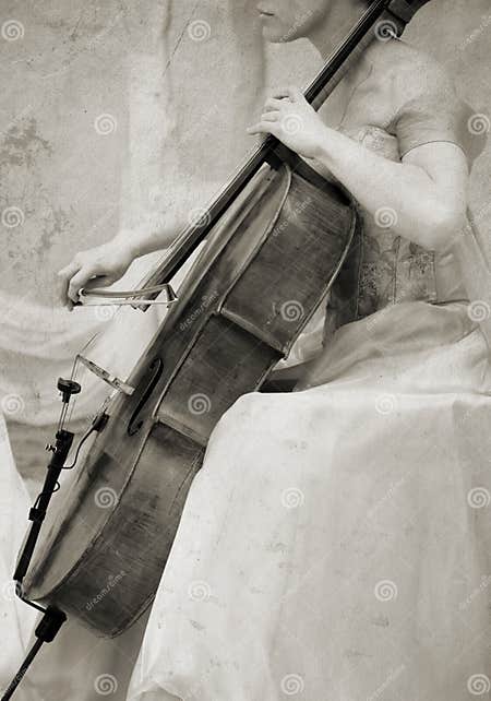 Vintage cello stock photo. Image of dress, human, occupation - 9548454