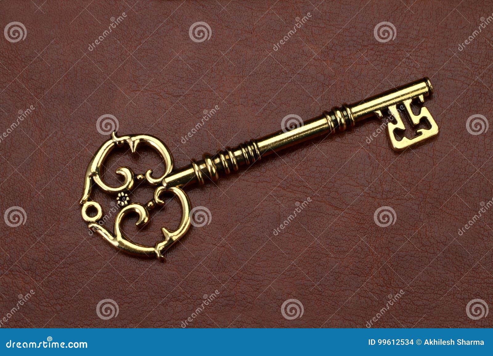 Vintage/chave Dourada Retro No Fundo De Couro Marrom Foto de Stock ...