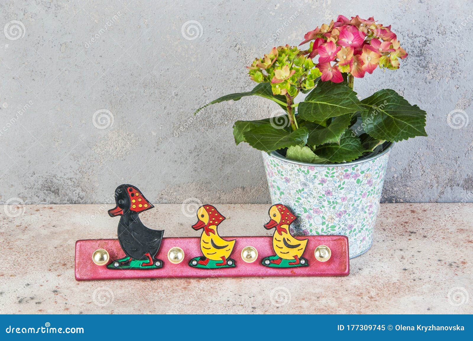 Vintage Children Coat Rack Duck and Hydrangea Stock Image - Image of ...
