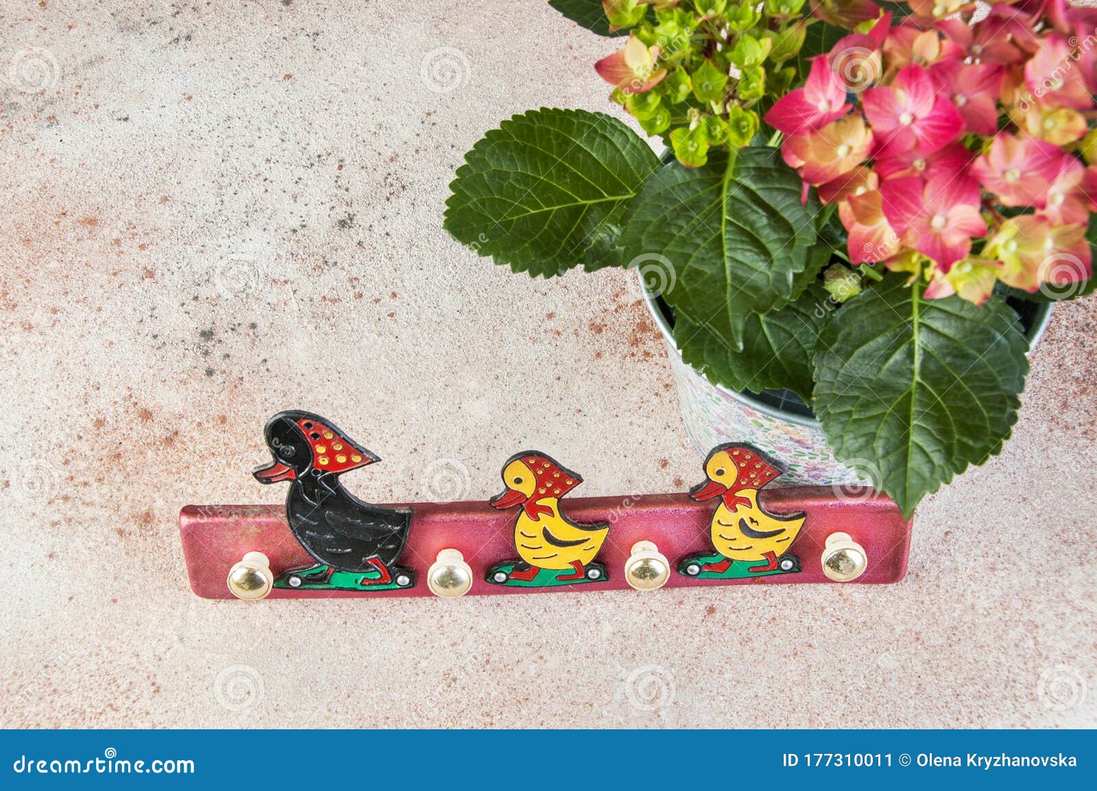 Vintage Children Coat Rack Duck and Hydrangea Stock Image - Image of ...