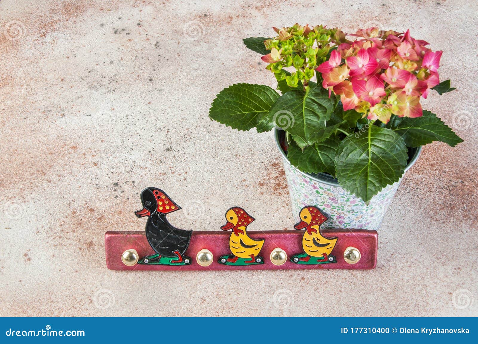 Vintage Children Coat Rack Duck and Hydrangea Stock Photo - Image of ...