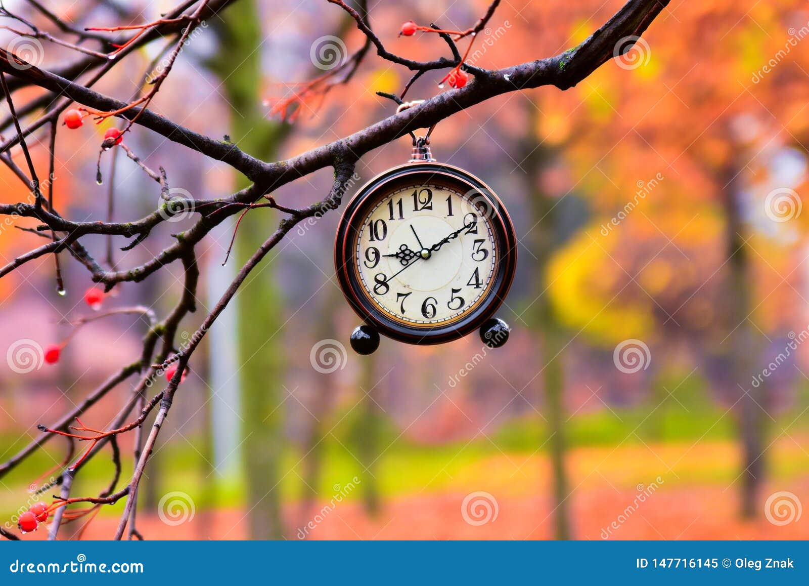 Vintage clock stock image. Image of retro, tree, antiqueart - 147716145