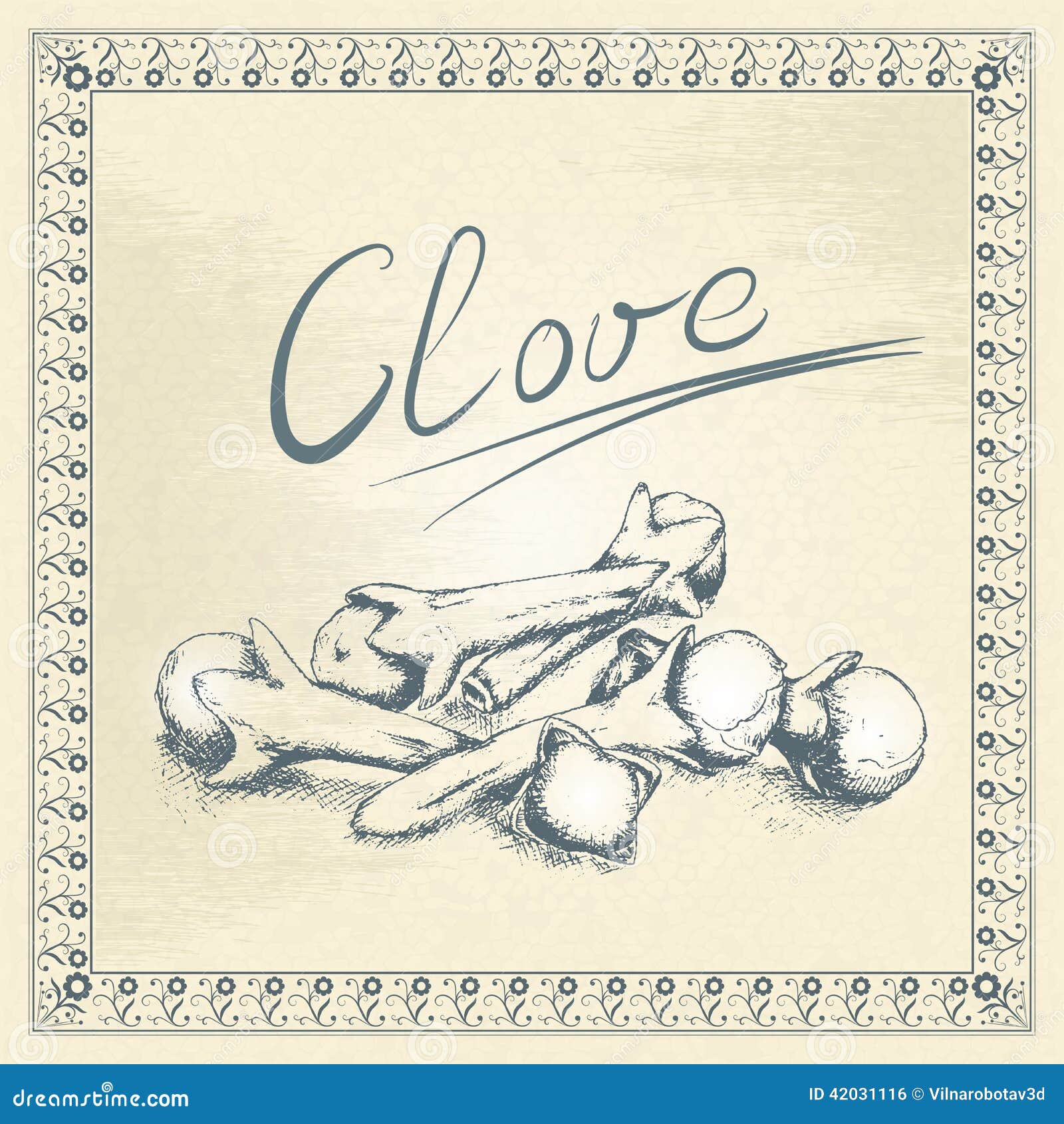 Vintage clove illustration stock illustration. Illustration of kitchen ...