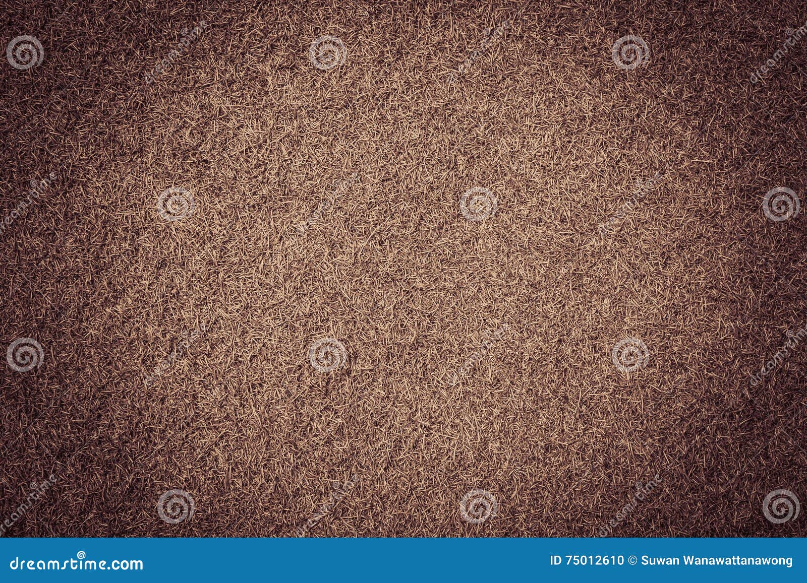 Vintage Color of Grass Background Stock Photo - Image of landscape ...