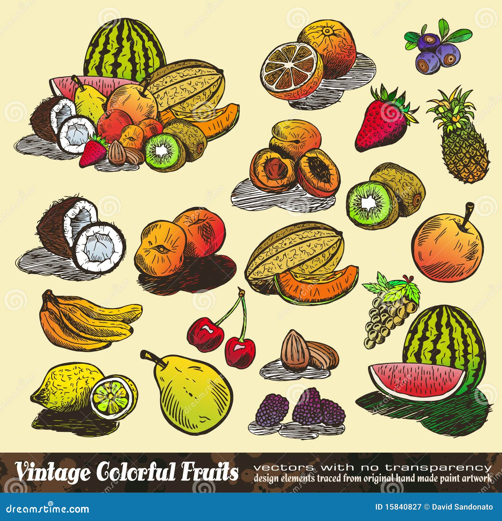Vintage Colorful Fruits Collection Stock Vector - Illustration of ...