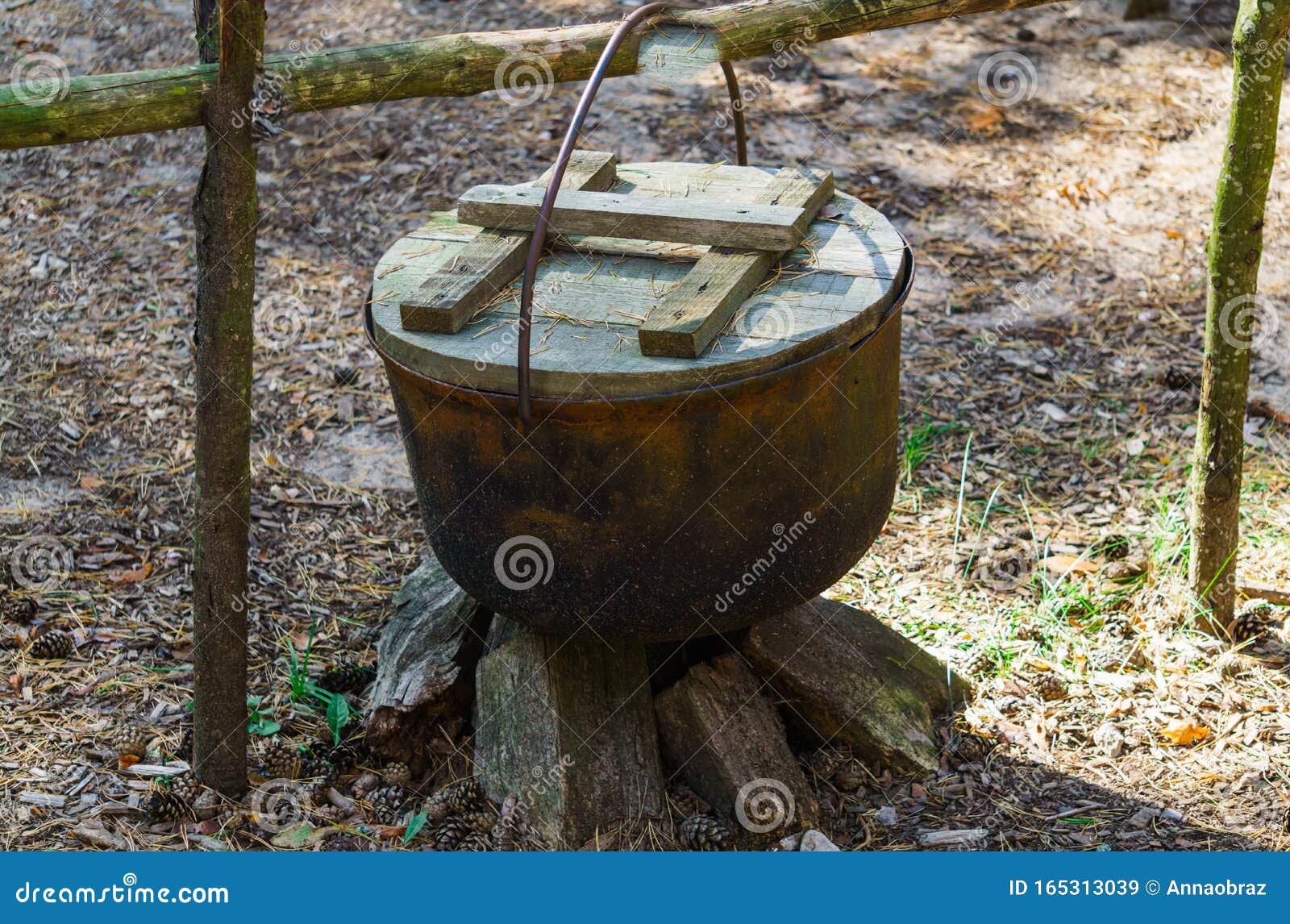 Vintage Cooking Option. Firewood and Iron Pot Stock Image - Image of ...