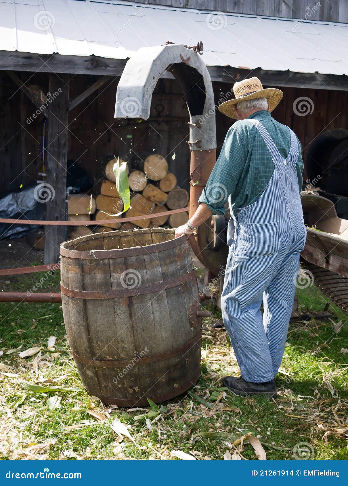 Vintage Corn Husking Demonstration Editorial Stock Image - Image of ...