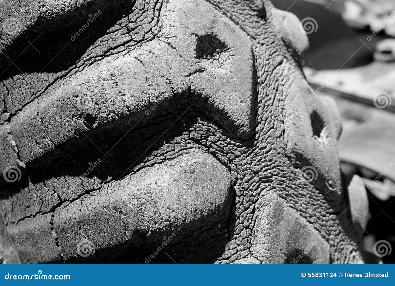 Vintage Cracked Rubber Tractor Tire Stock Photo - Image of black, tire ...