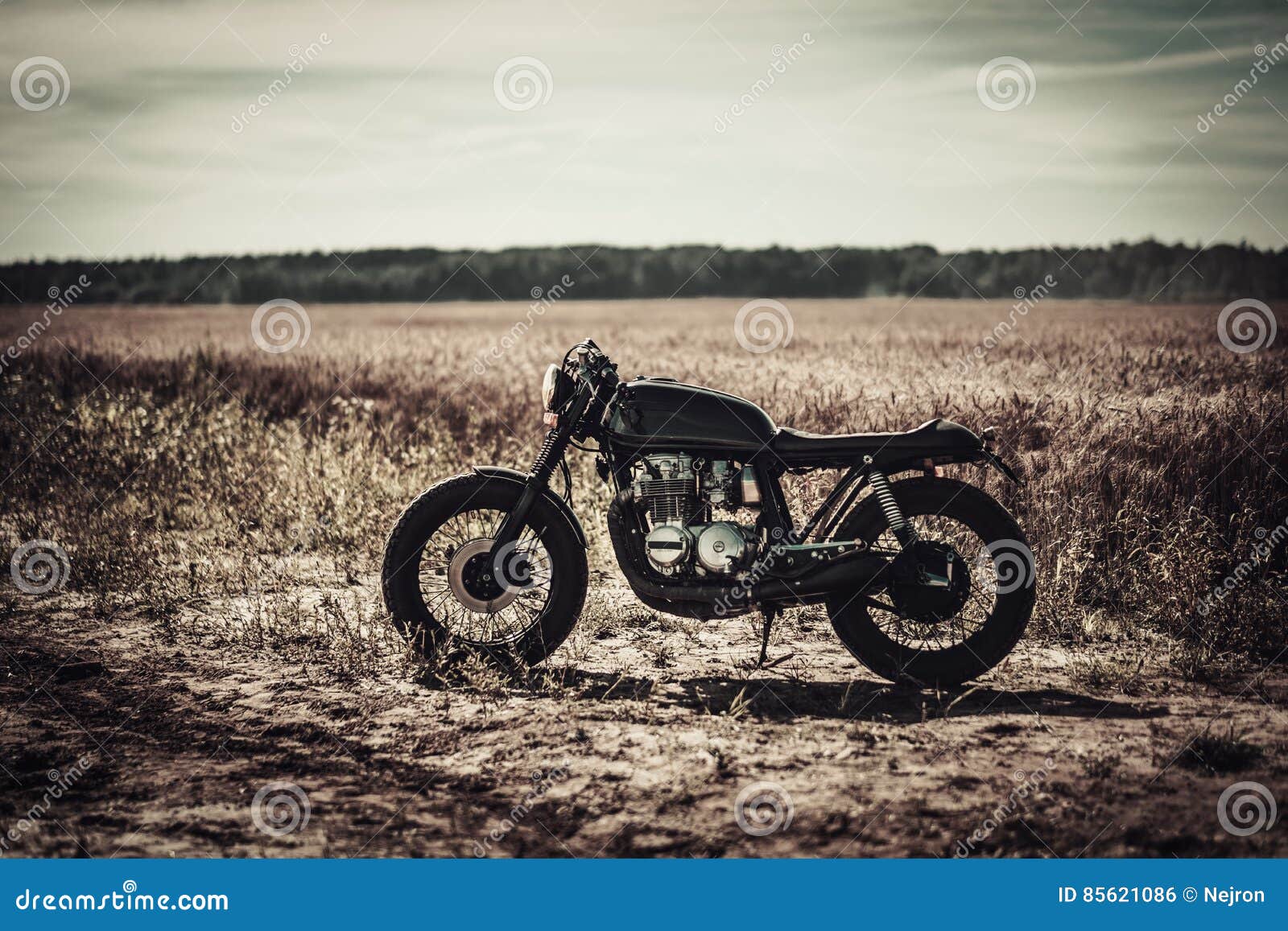 Vintage Custom Motorcycles in Field Stock Photo - Image of leather ...