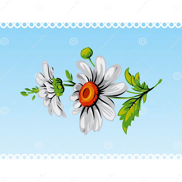 Vintage Daisy Flower. Vector. Stock Vector - Illustration of green ...