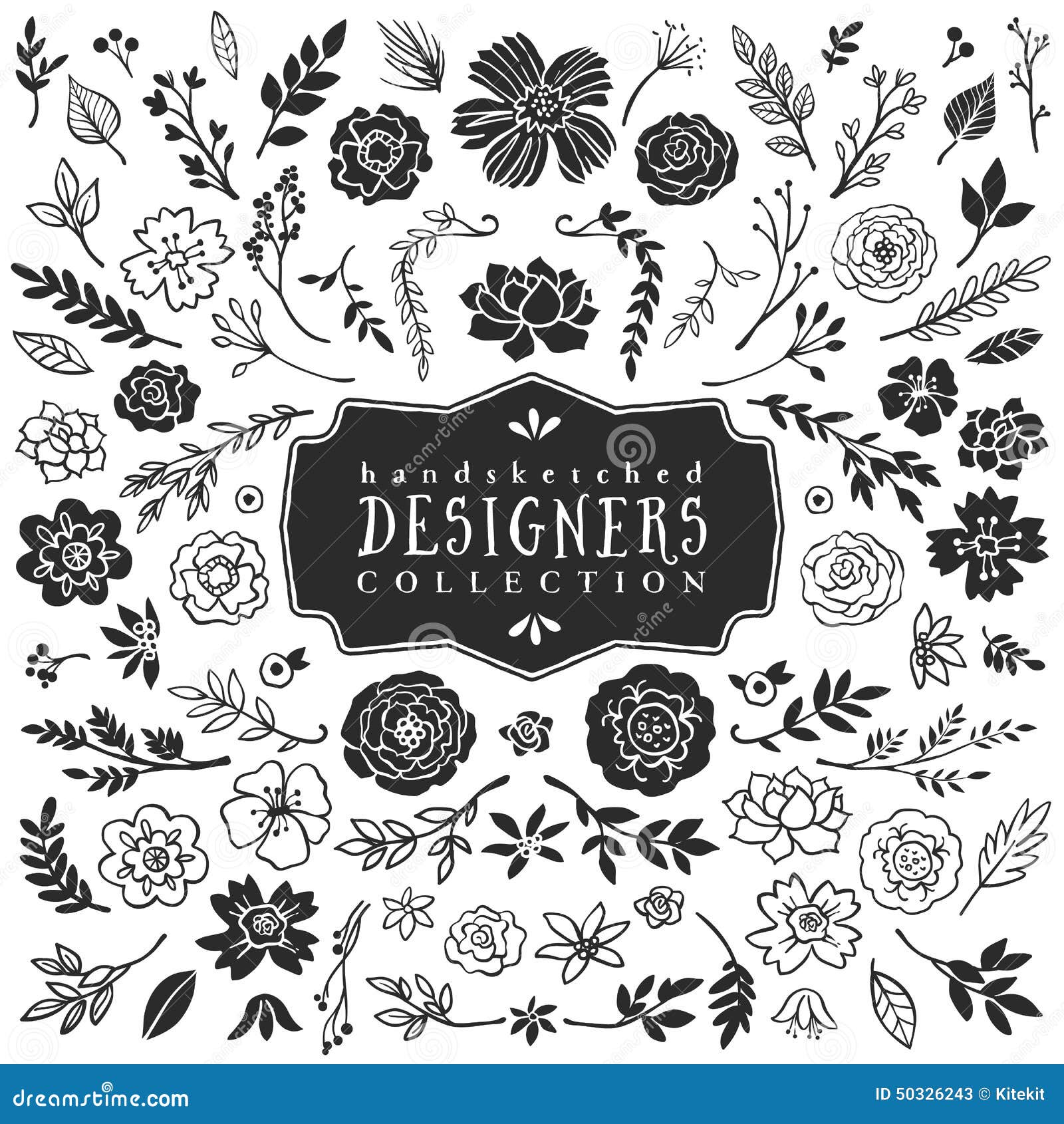 Vintage Decorative Plants and Flowers Collection. Hand Drawn Stock ...