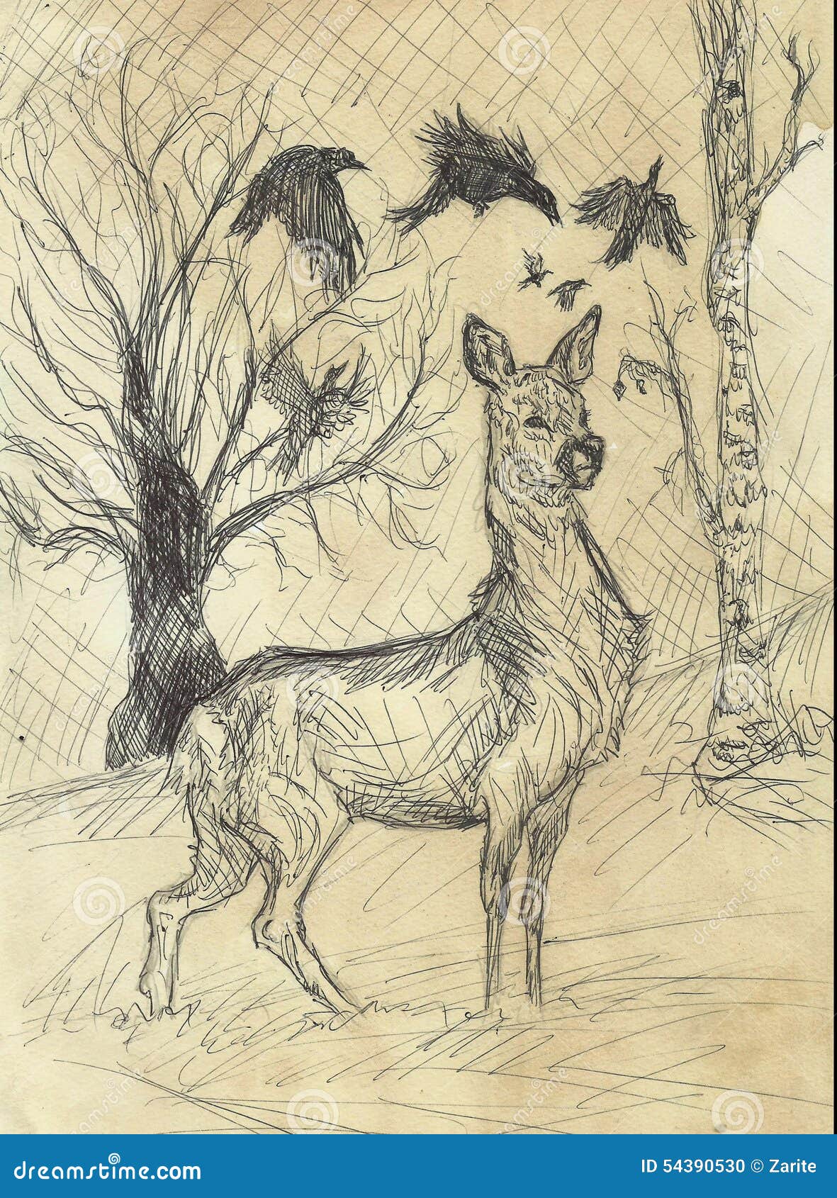 Vintage Deer Drawing Stock Photography | CartoonDealer.com #54390530
