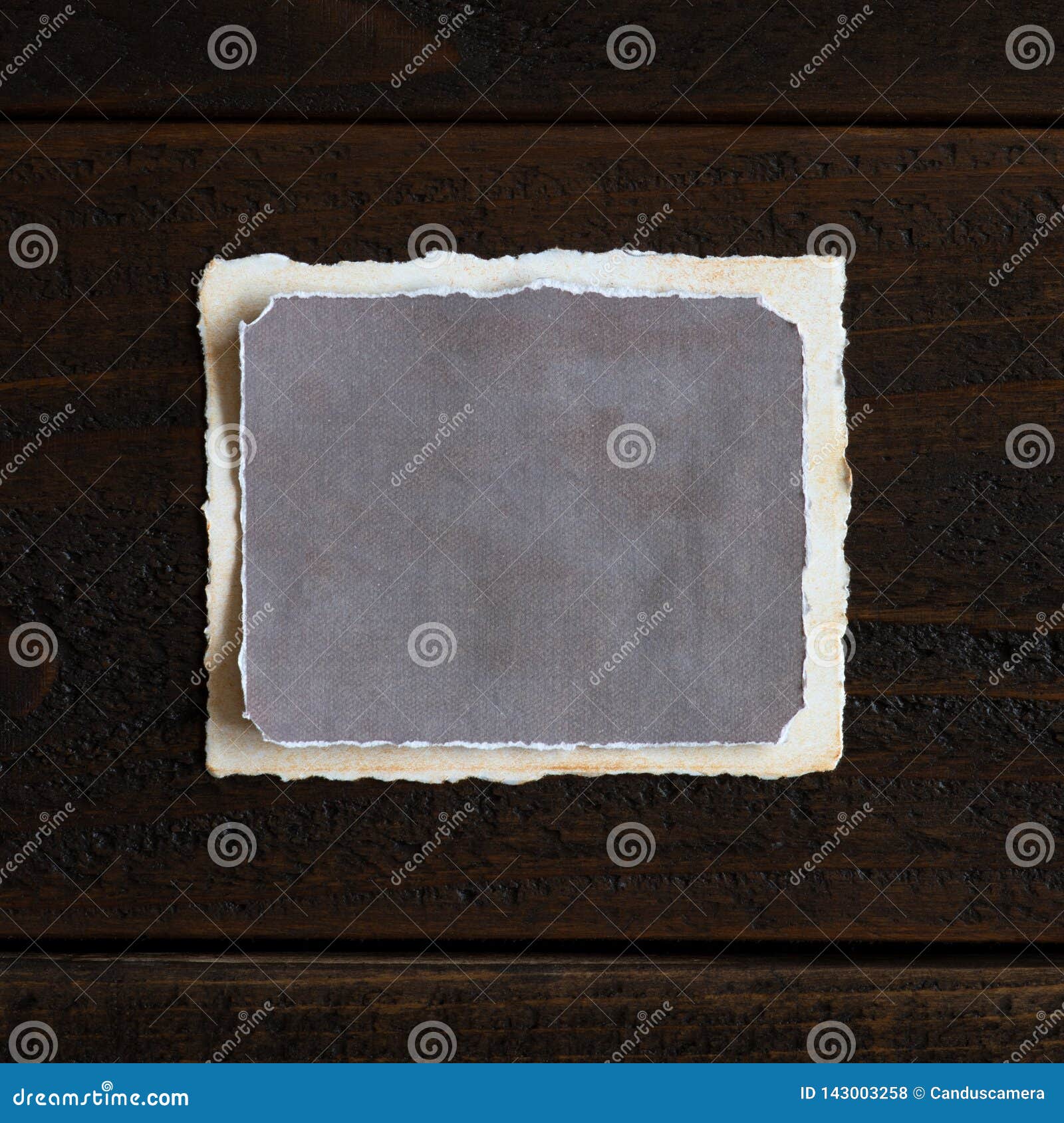 Vintage Distressed and Textured Paper that is Blank for Your Words ...