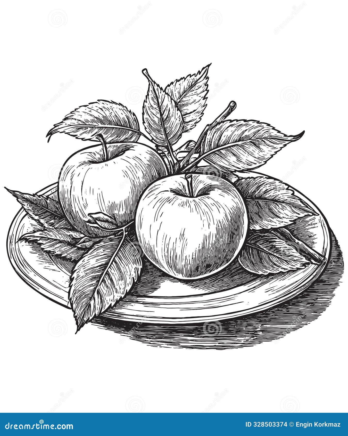 Set Of Engraving Apples Isolated On White. Vector Retro Illustration ...