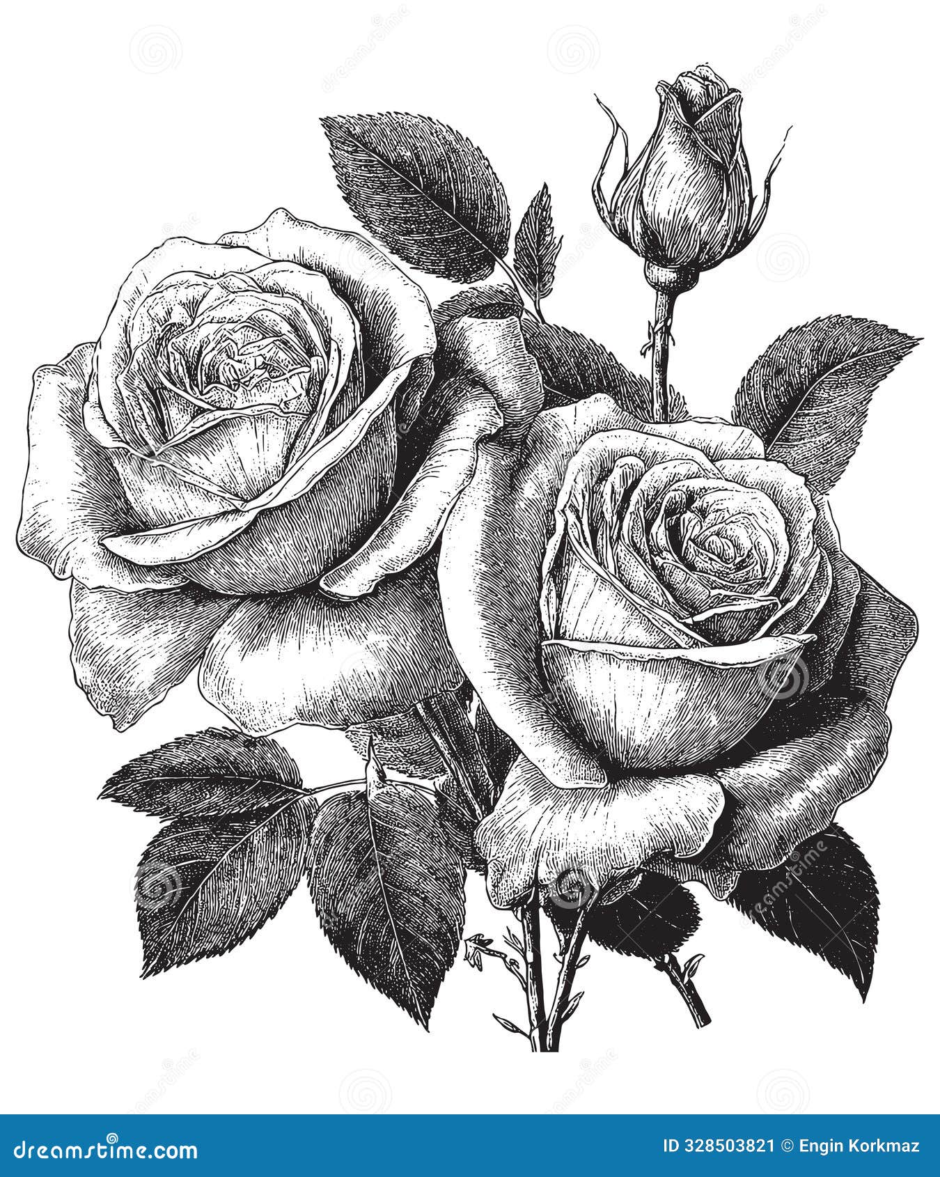 Vintage Engraving of Bouquet of Roses Stock Illustration - Illustration ...