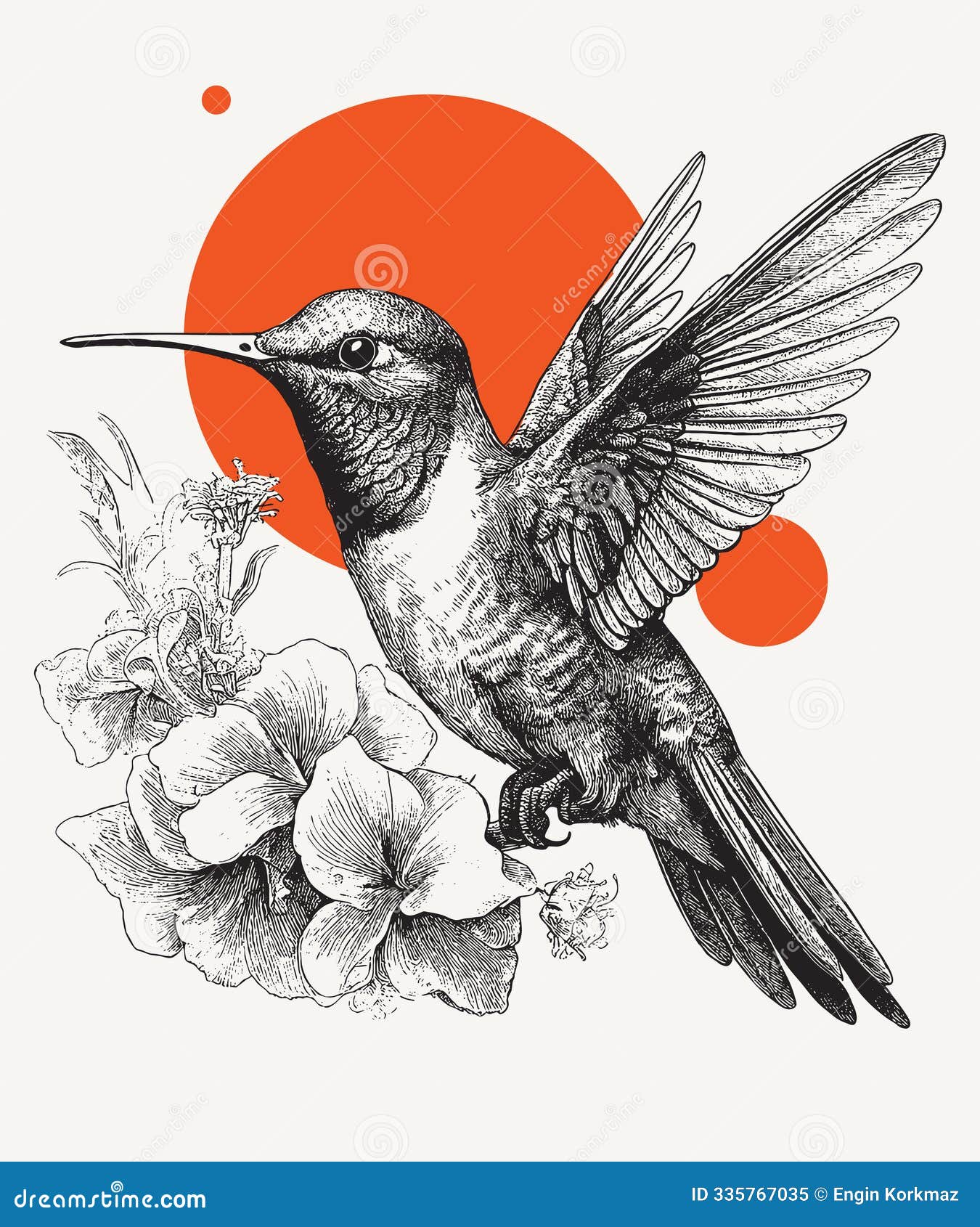 Vintage Engraving of a Hummingbird Stock Illustration - Illustration of ...