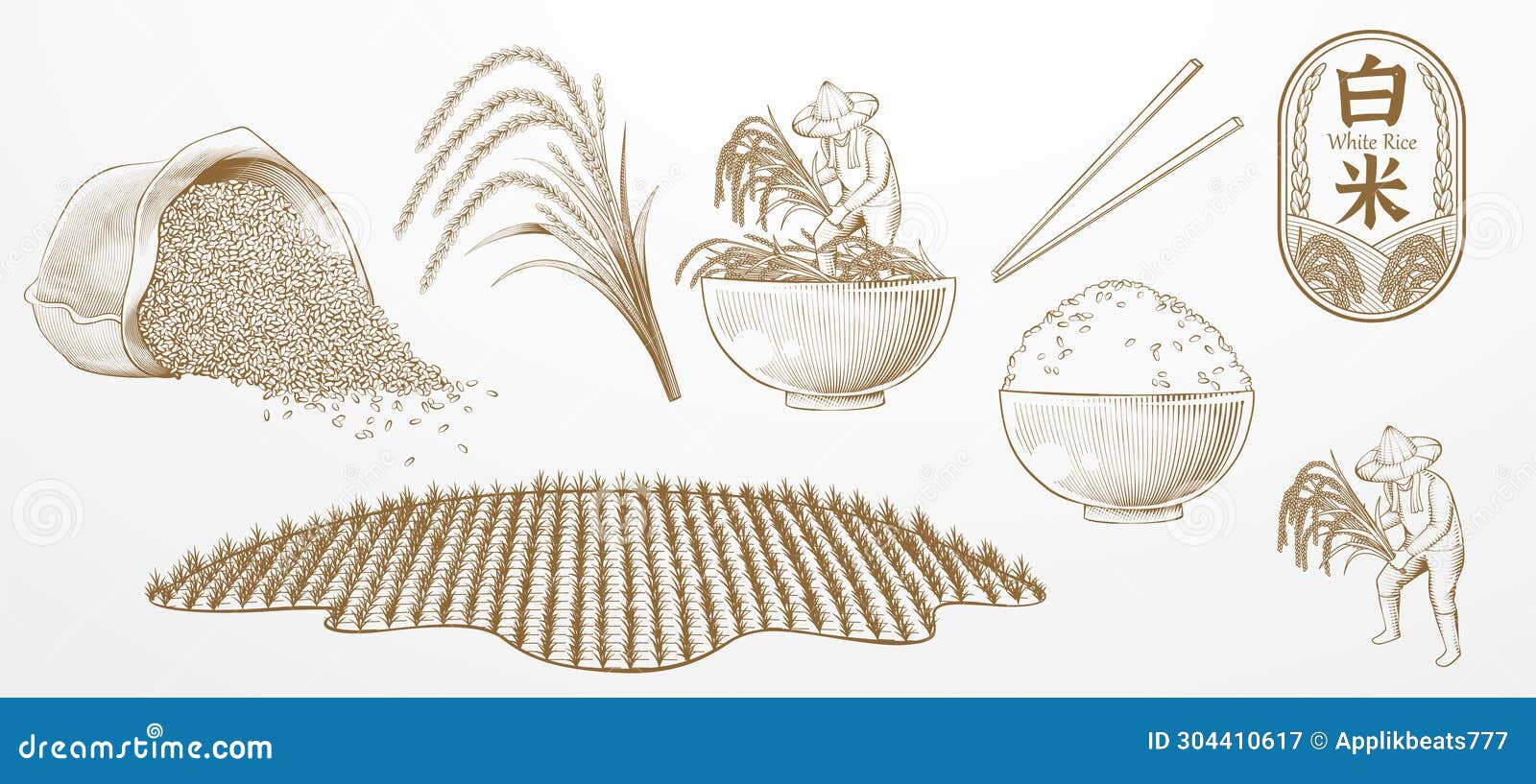 Vintage Engraving Rice Elements Stock Vector - Illustration of paddy ...