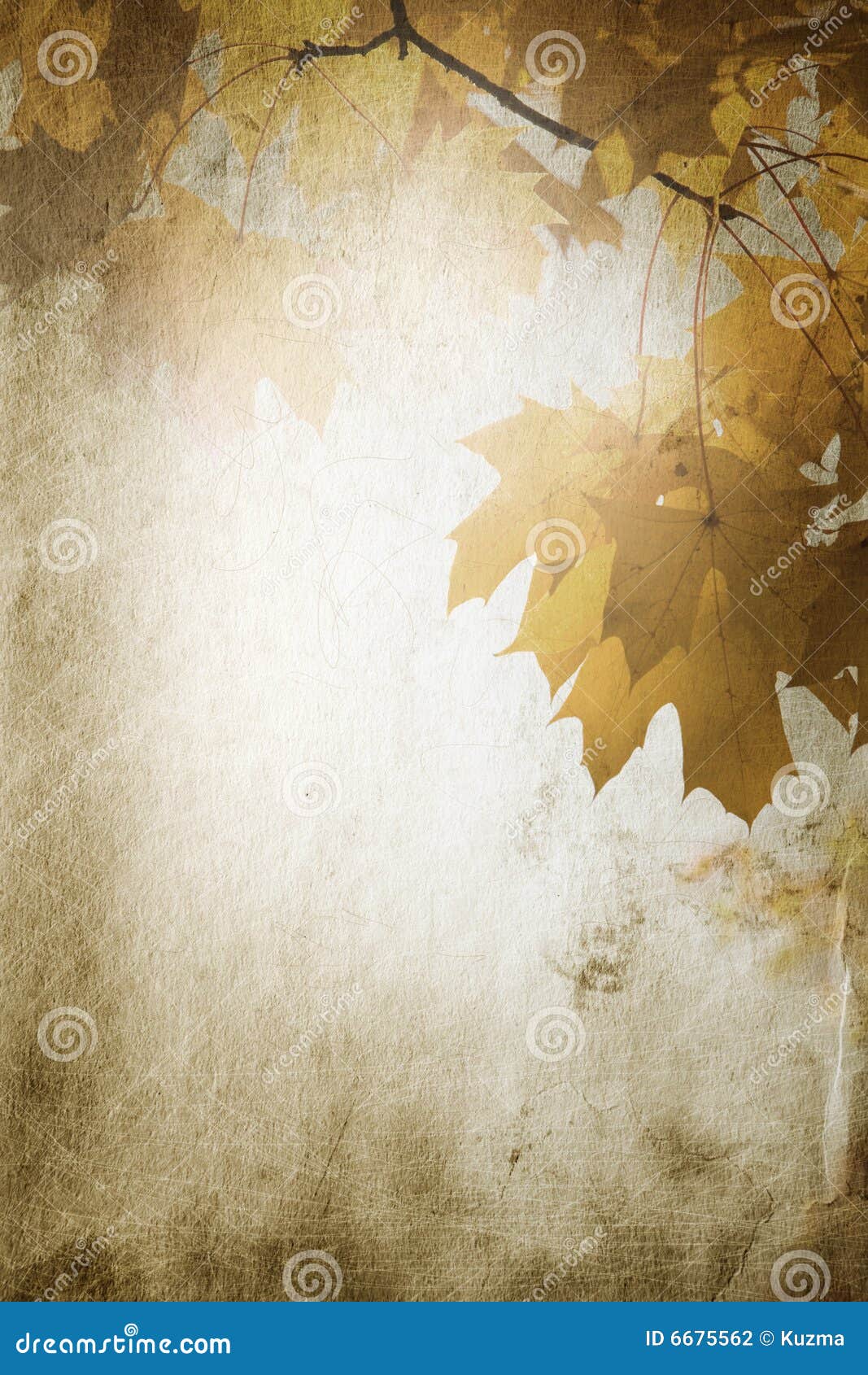 Vintage fall stock photo. Image of nature, vintage, season - 6675562
