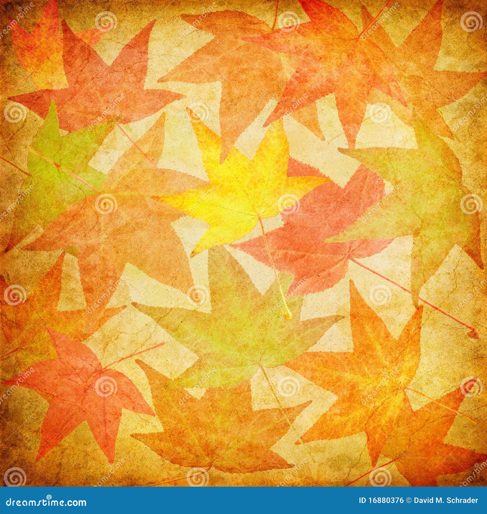 Vintage Fall Leaves stock photo. Image of group, green - 16880376