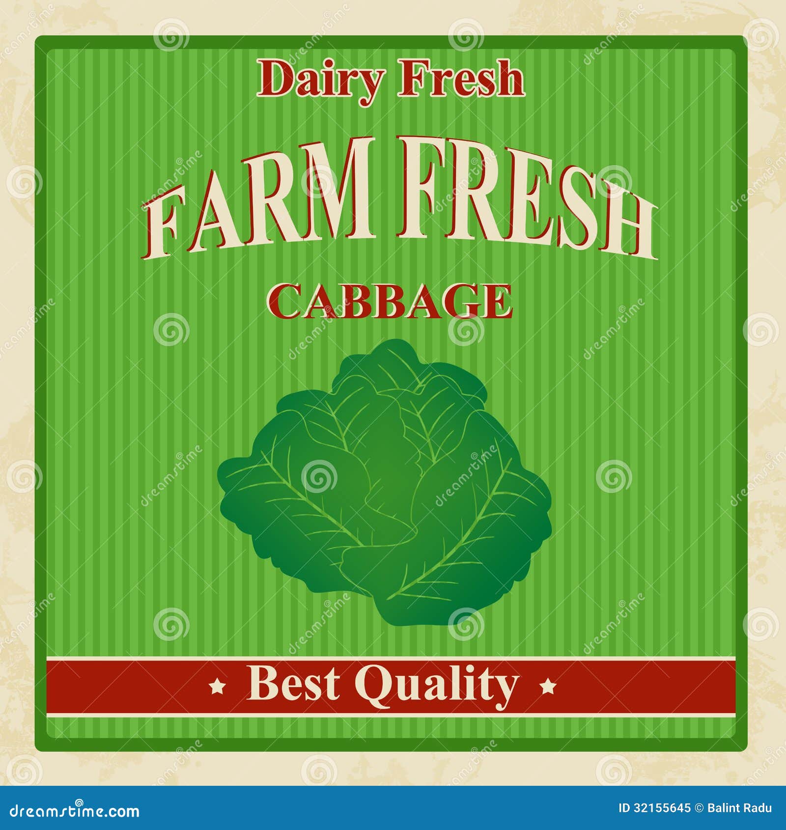 Vintage Farm Fresh Cabbage Poster Stock Vector - Illustration of ...