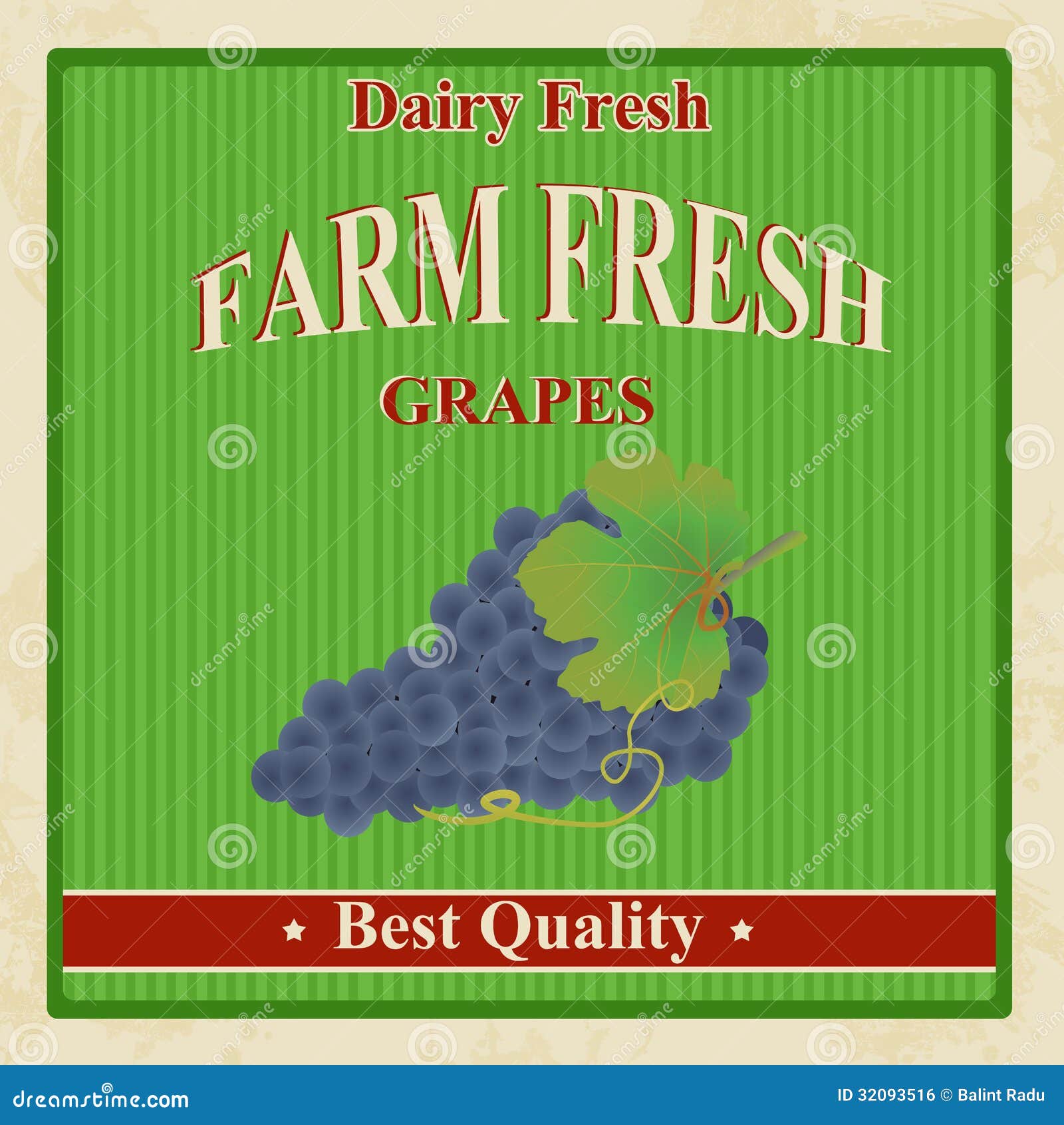 Vintage Farm Fresh Grapes Poster Stock Vector - Illustration of healthy ...