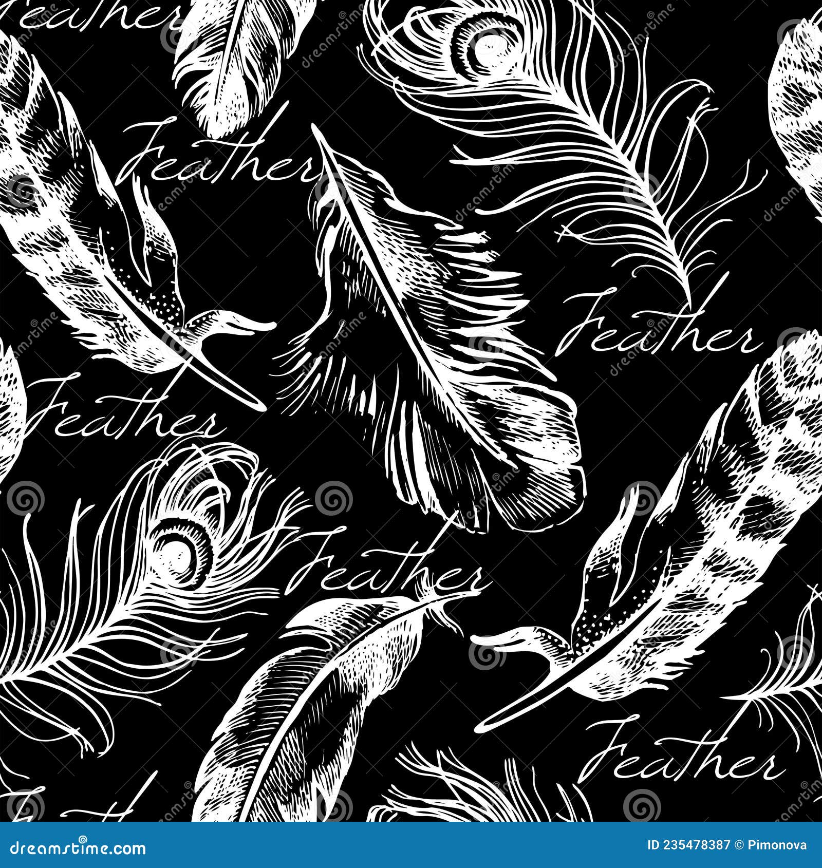 Vintage Feather Vector Set - Illustration. Sketch | CartoonDealer.com ...