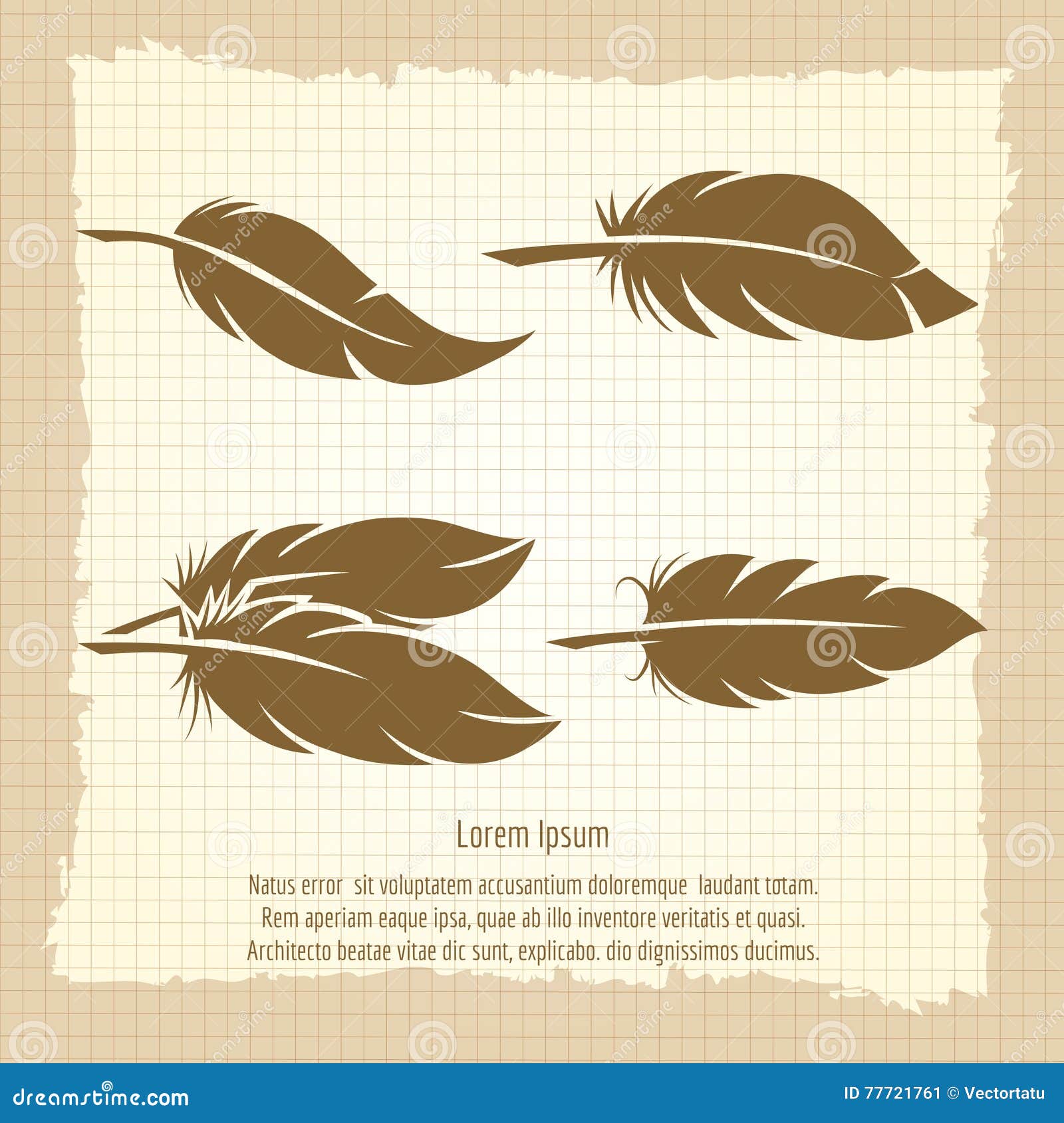 Vintage Feather Set on Notebook Page Stock Vector - Illustration of ...