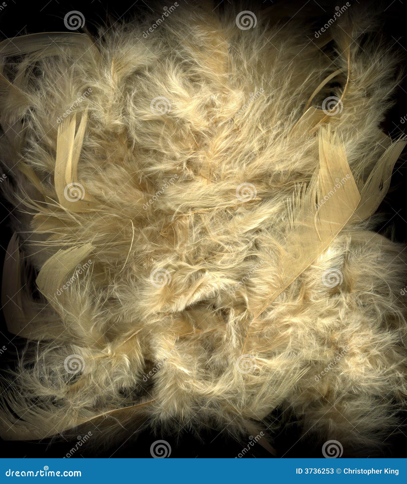 Vintage Feathers Background Texture Stock Image - Image of pearls, soft ...