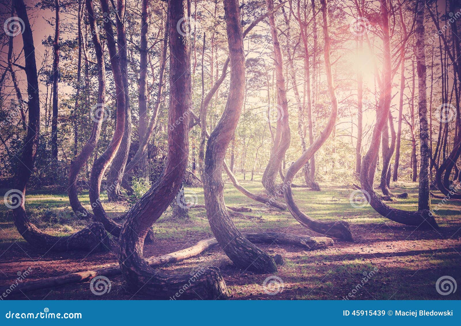 Vintage Mysterious Or Scary Tower Silhouette At Sunset. Royalty-Free ...