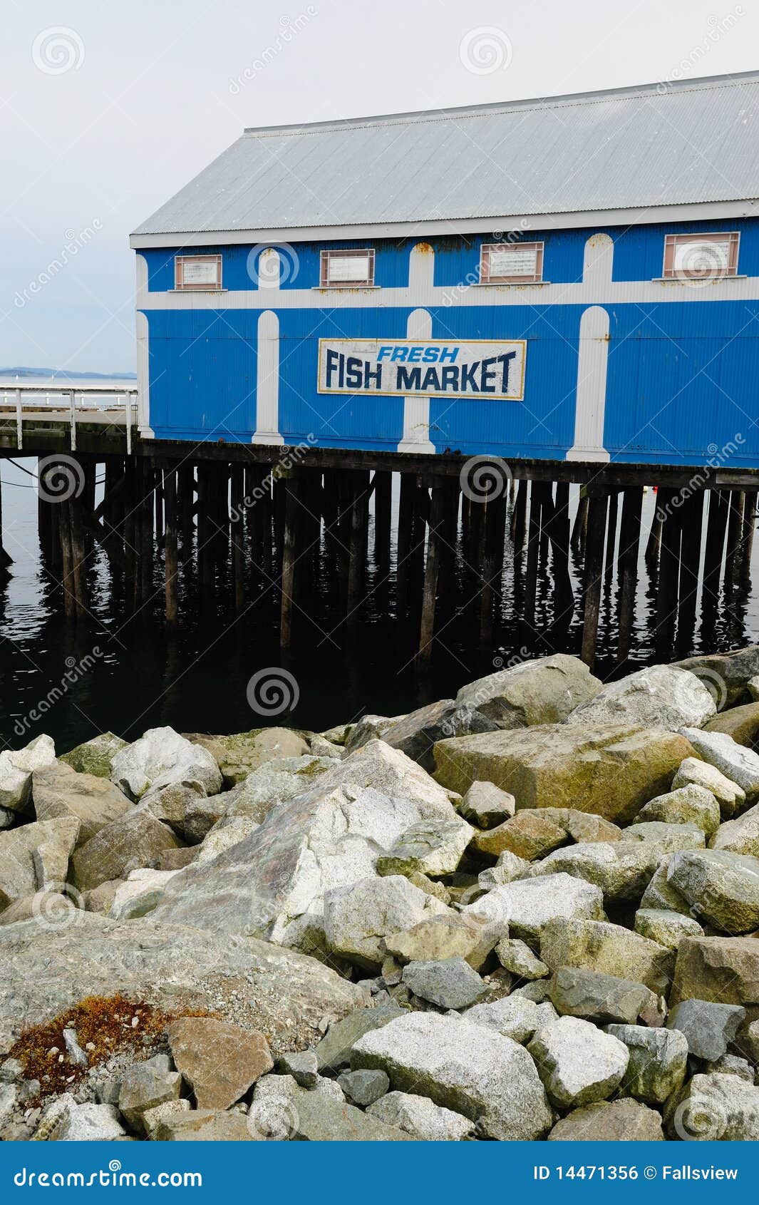 Vintage fish market stock photo. Image of canada, market - 14471356