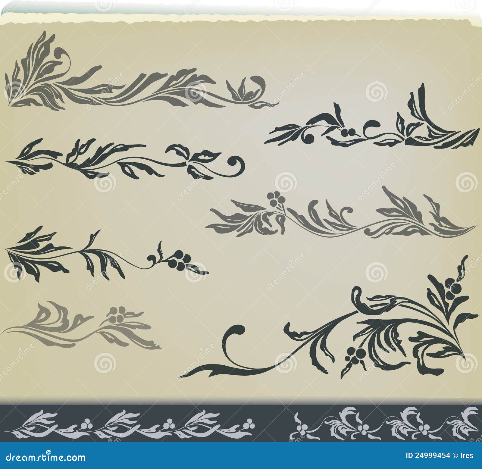 Vintage Floral Decoration Design Set Stock Vector - Illustration of ...