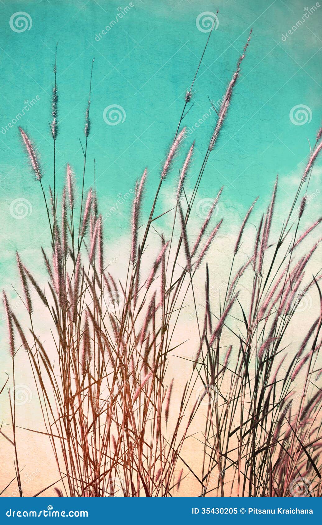 Vintage Flower of the Grass Stock Image - Image of blossom, grass: 35430205