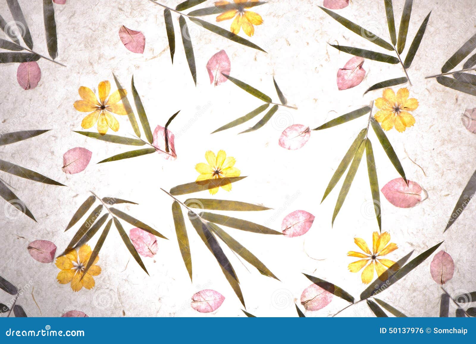 Mulberry Paper Texture Background Royalty-Free Stock Image ...