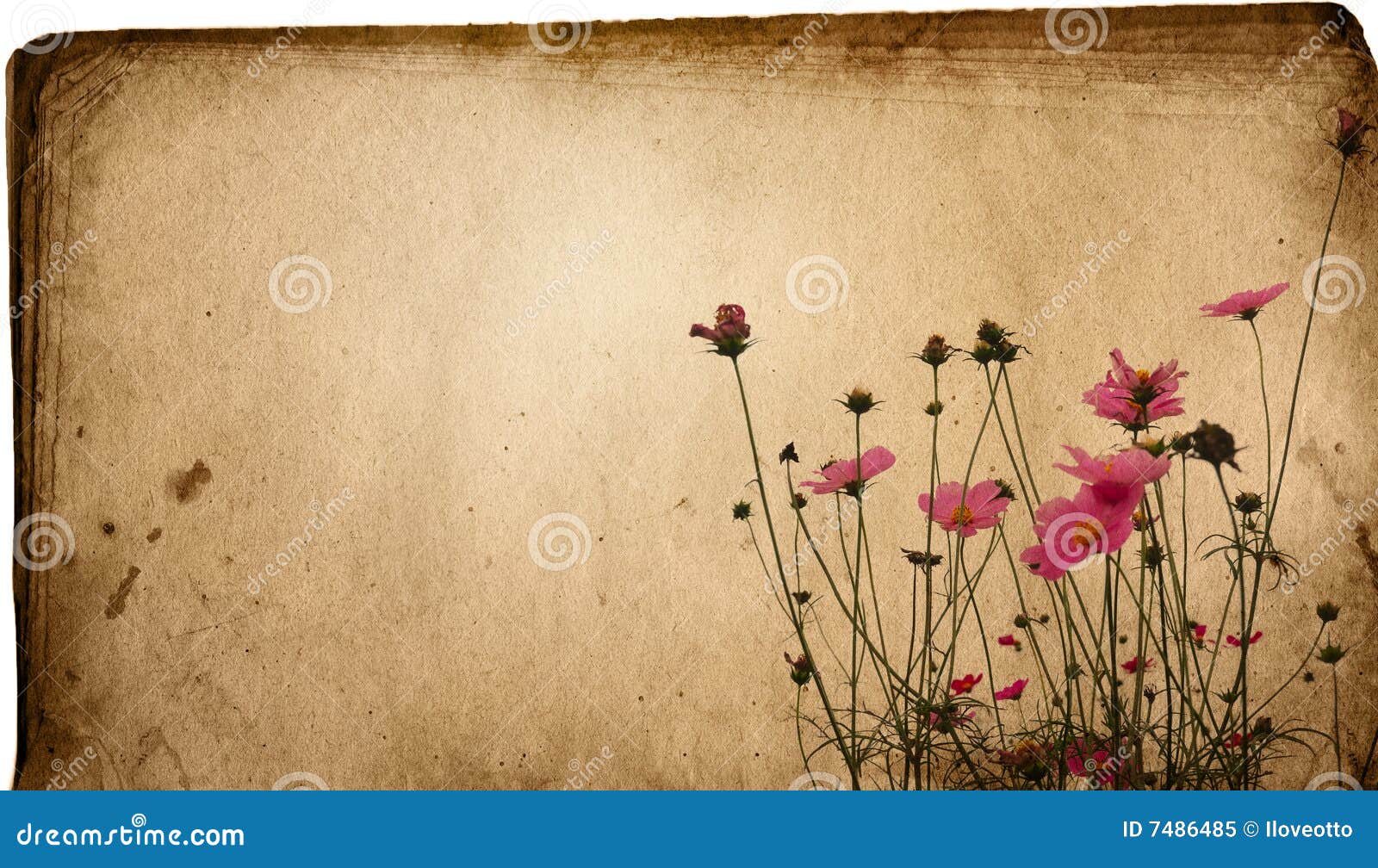 Old And Flower Paper Texture Background Stock Photo | CartoonDealer.com ...