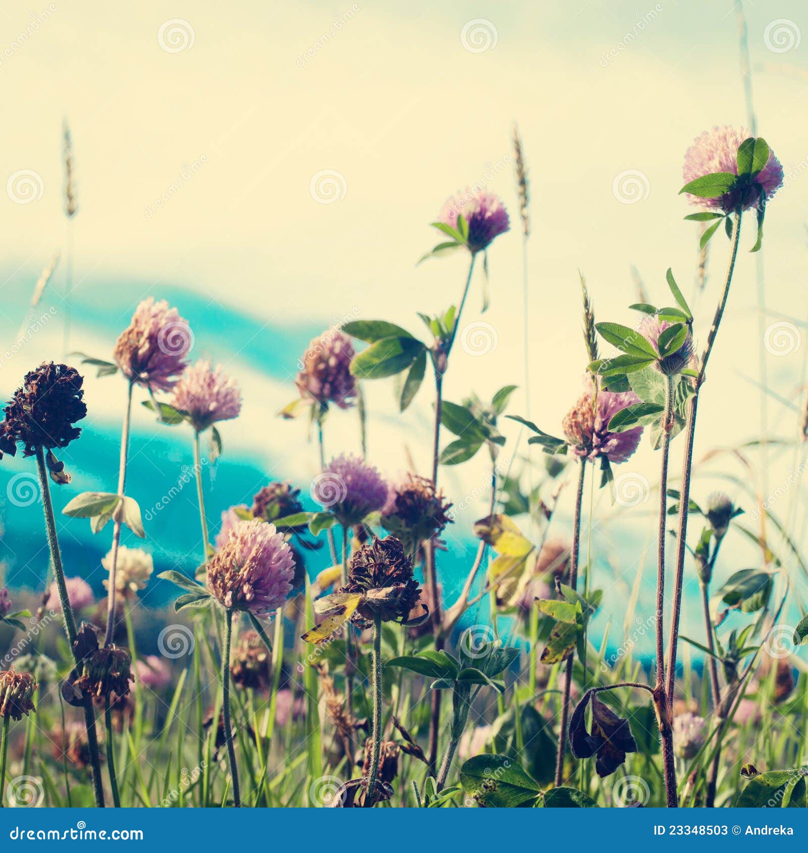 Vintage Flowers stock image. Image of paper, floral, decorative - 23348503