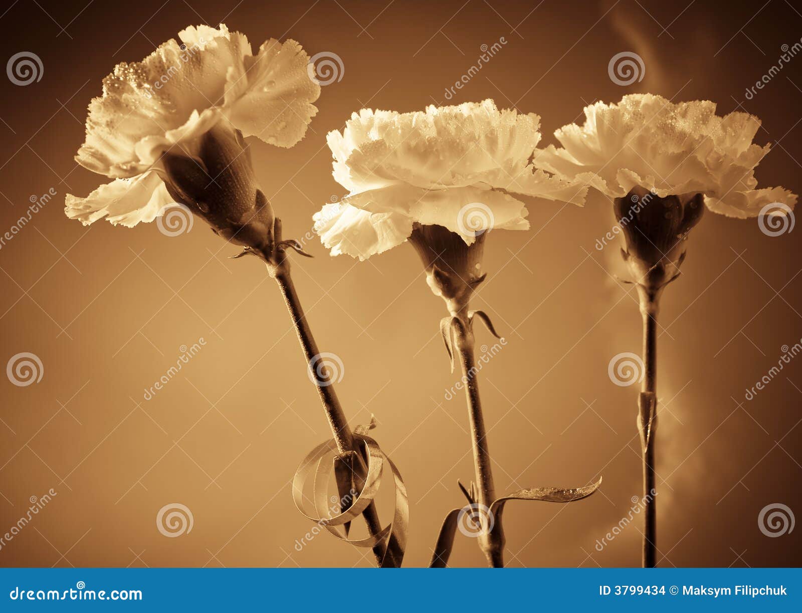 Vintage flowers stock photo. Image of abstract, plants - 3799434