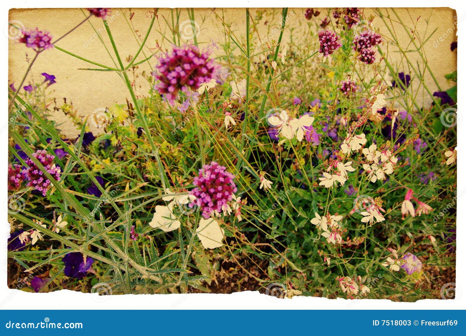 Vintage flowers stock image. Image of artistic, nature - 7518003