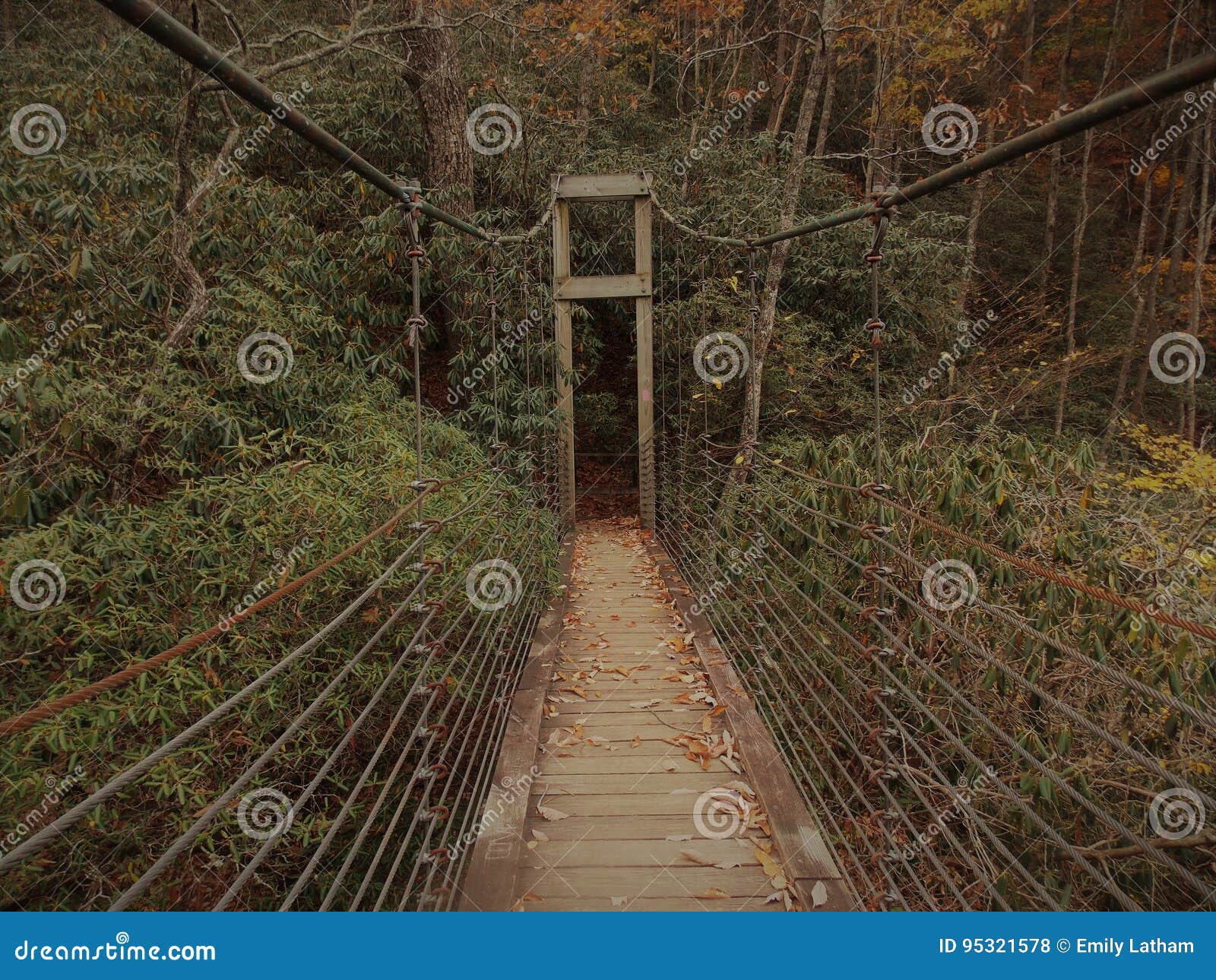 Vintage Footbridge stock photo. Image of river, jungle - 95321578