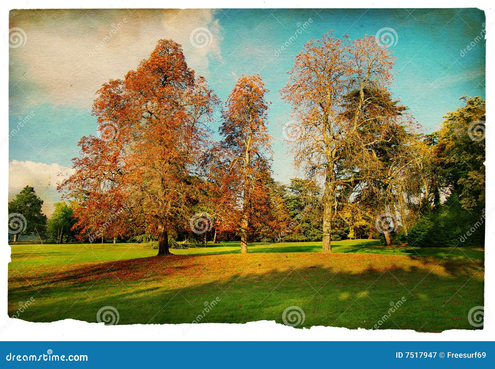 Vintage forest stock image. Image of texture, picturesque - 7517947