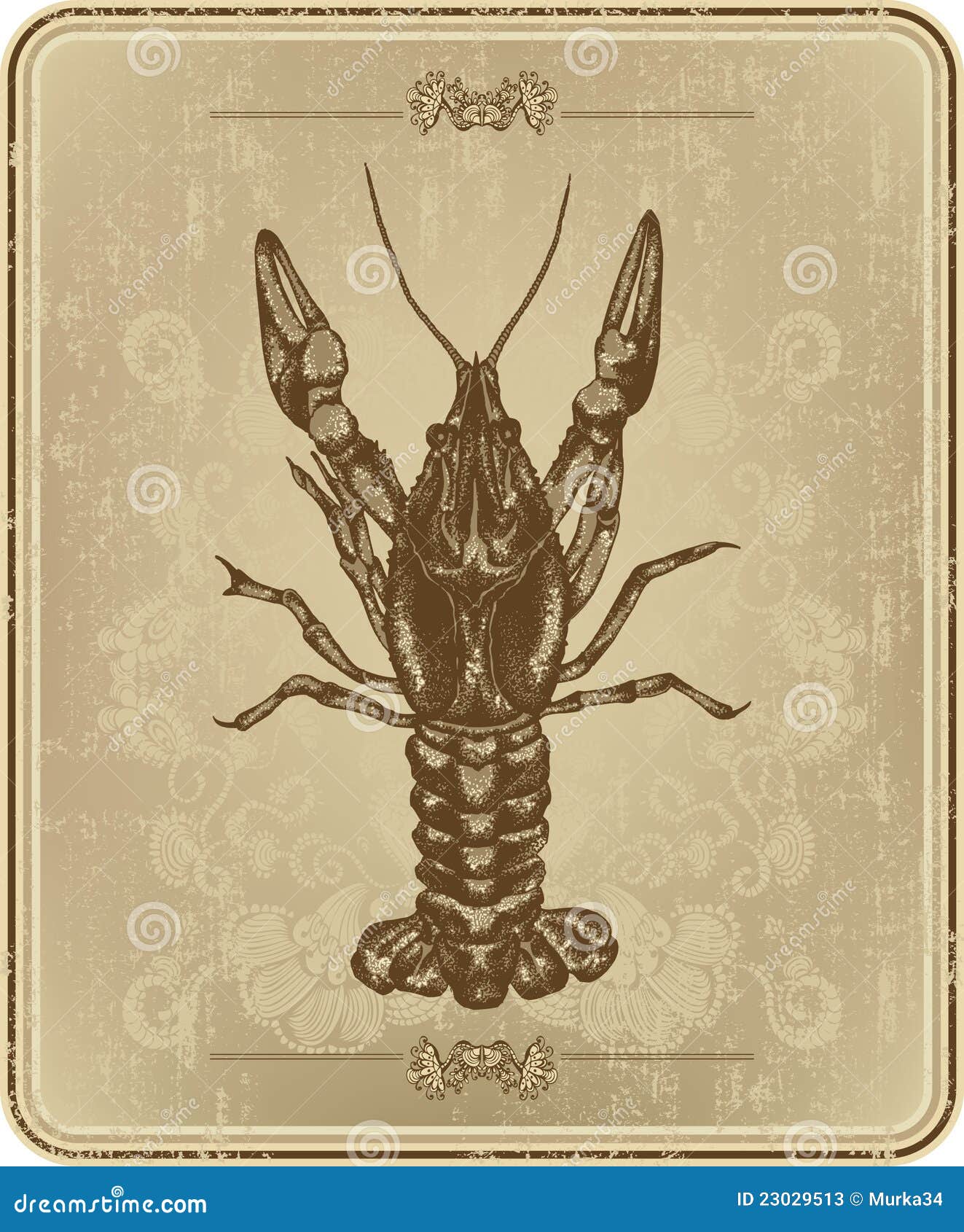 Crayfish Drawing
