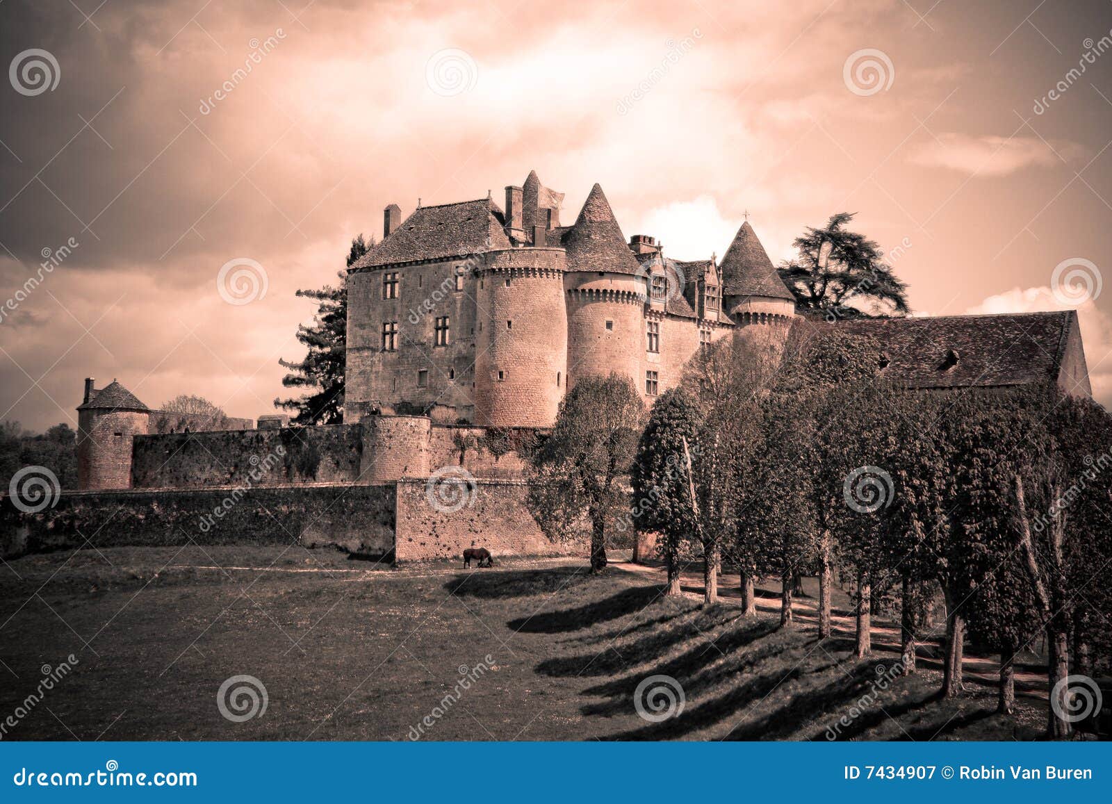 French Castle Royalty-Free Stock Photography | CartoonDealer.com #190043399