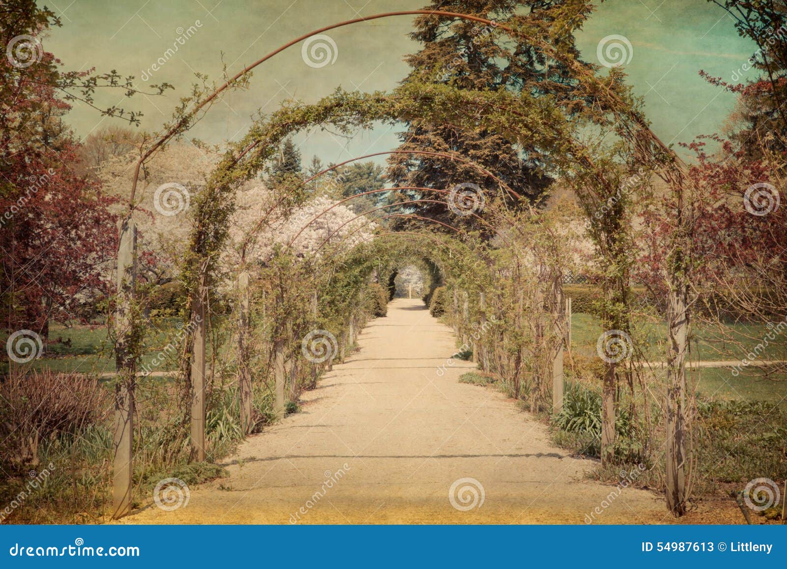 Vintage Garden stock image. Image of vine, arch, texture - 54987613