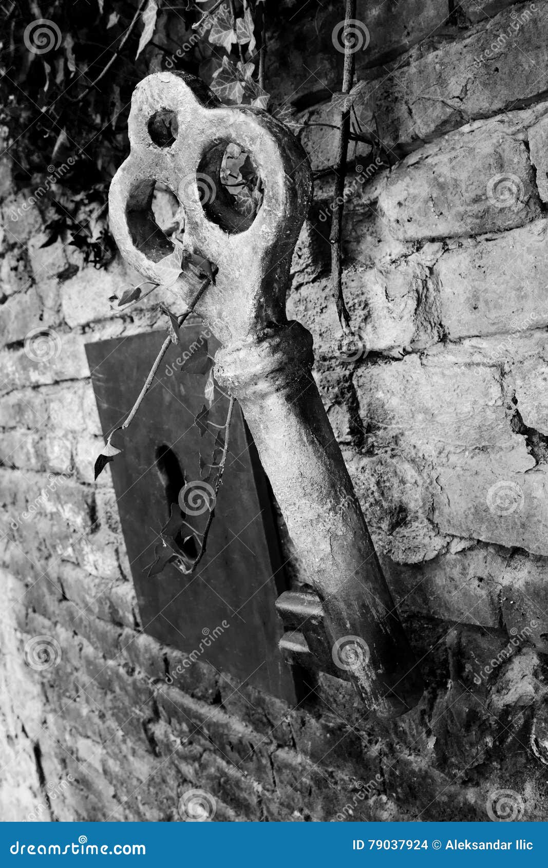 Vintage Giant Key and Keyhole Stock Photo - Image of pattern ...