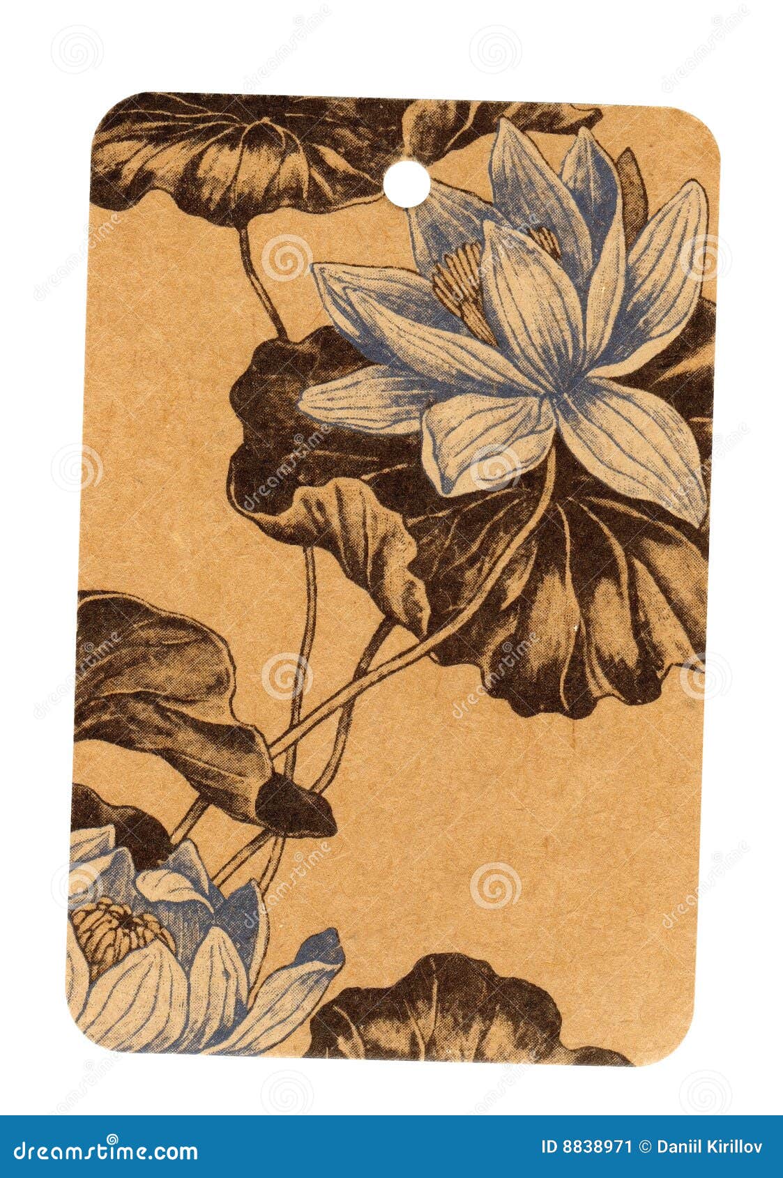 Vintage Glam Label with Flower Pattern Stock Image - Image of attach ...