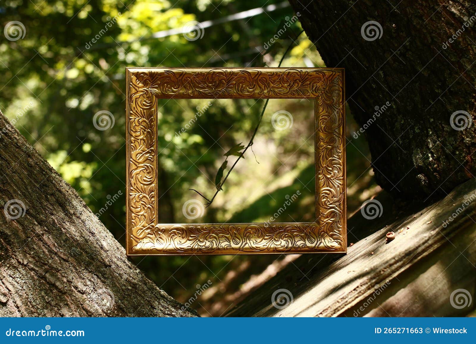 Vintage Golden Frame on a Tree in the Forest Stock Illustration ...