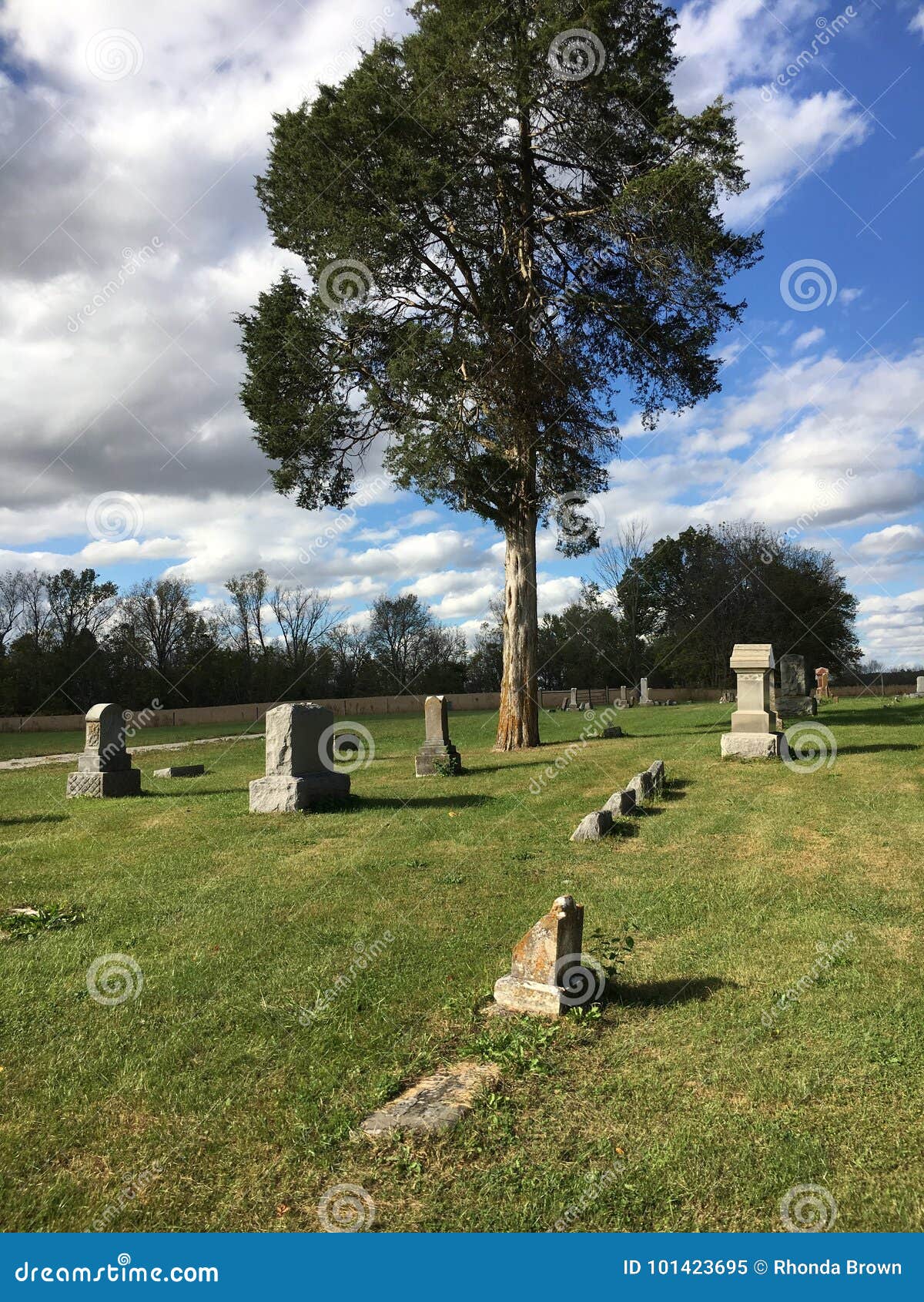 Vintage graveyard stock image. Image of graveyard, grave - 101423695