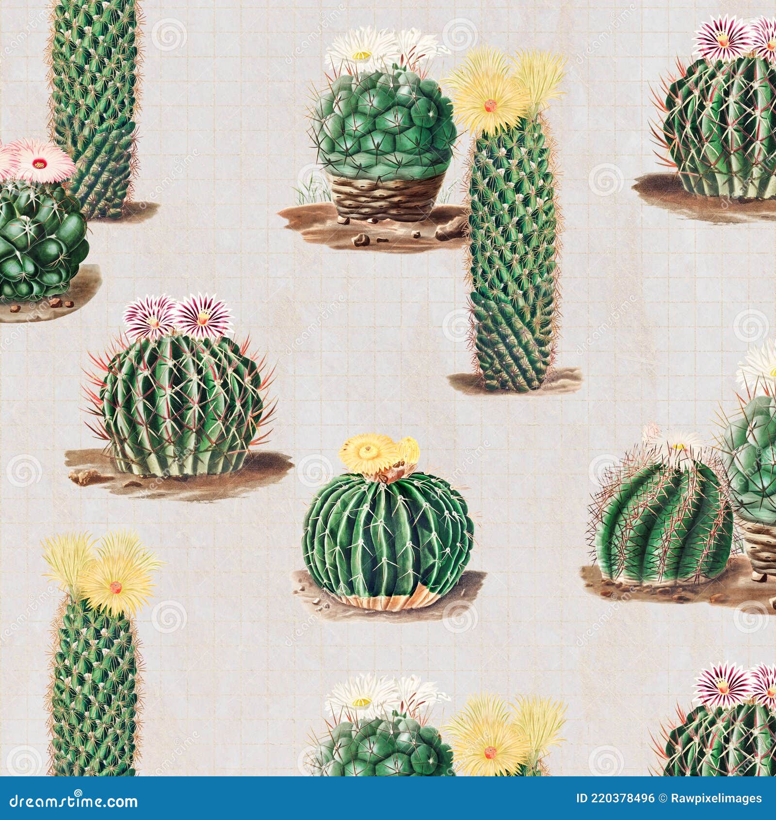Vintage Green Cactus with Flower Illustration Pattern Background Stock ...