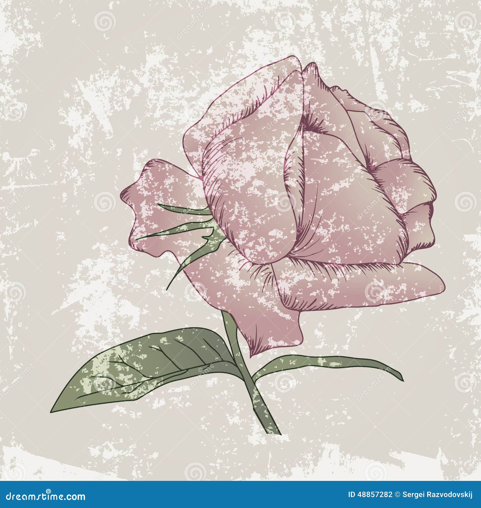 Vintage Grunge Rose Background Stock Vector - Illustration of petal ...