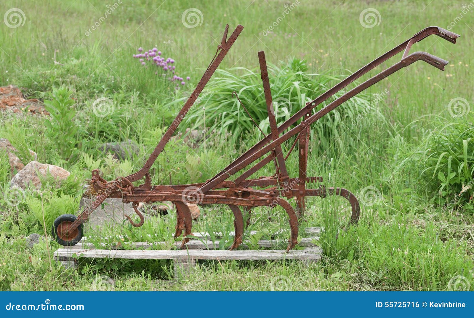 Vintage Horse Drawn Farm Equipment at Janna Altieri blog