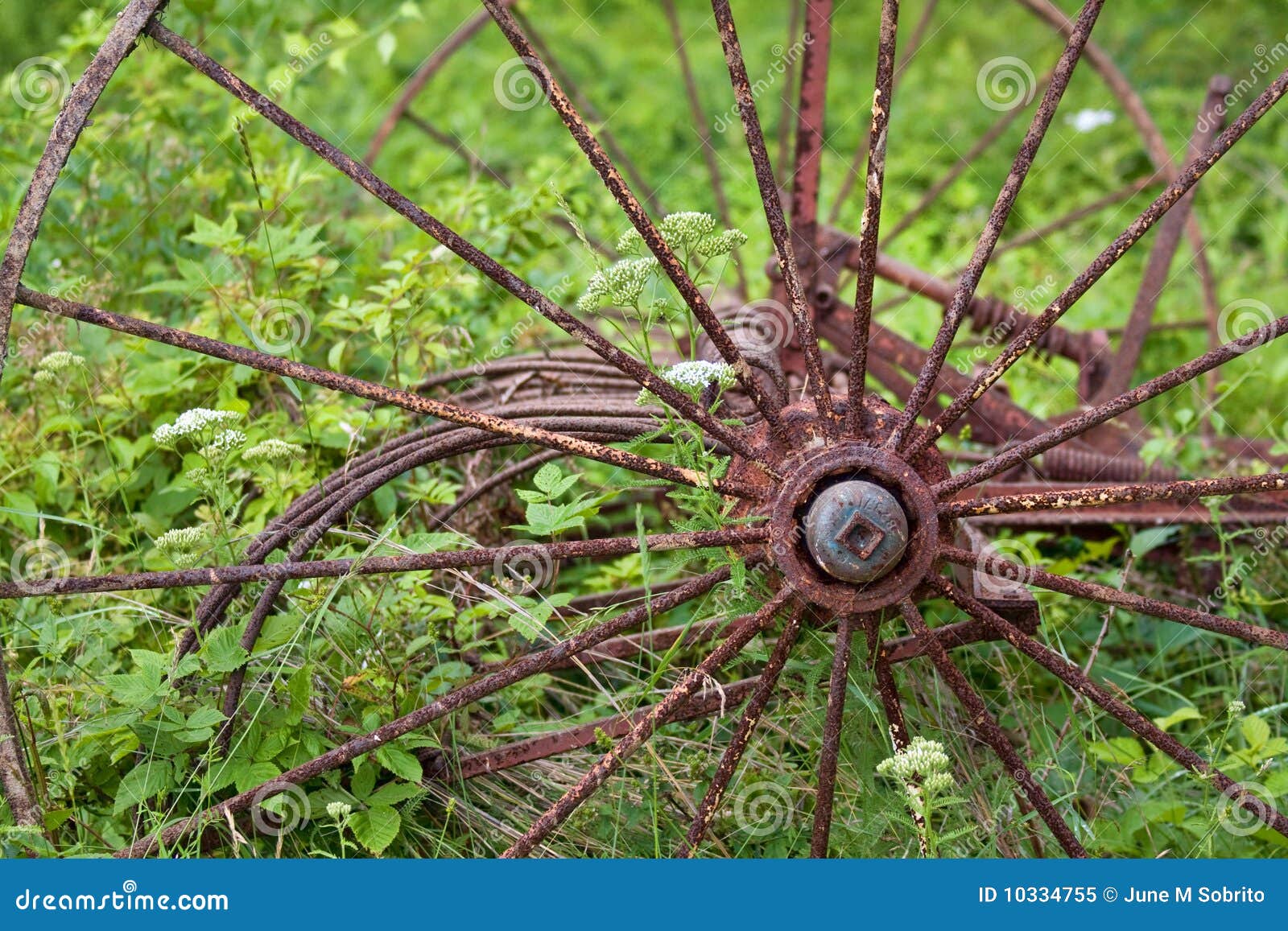 Vintage Hay Rake stock image. Image of vintage, food - 10334755